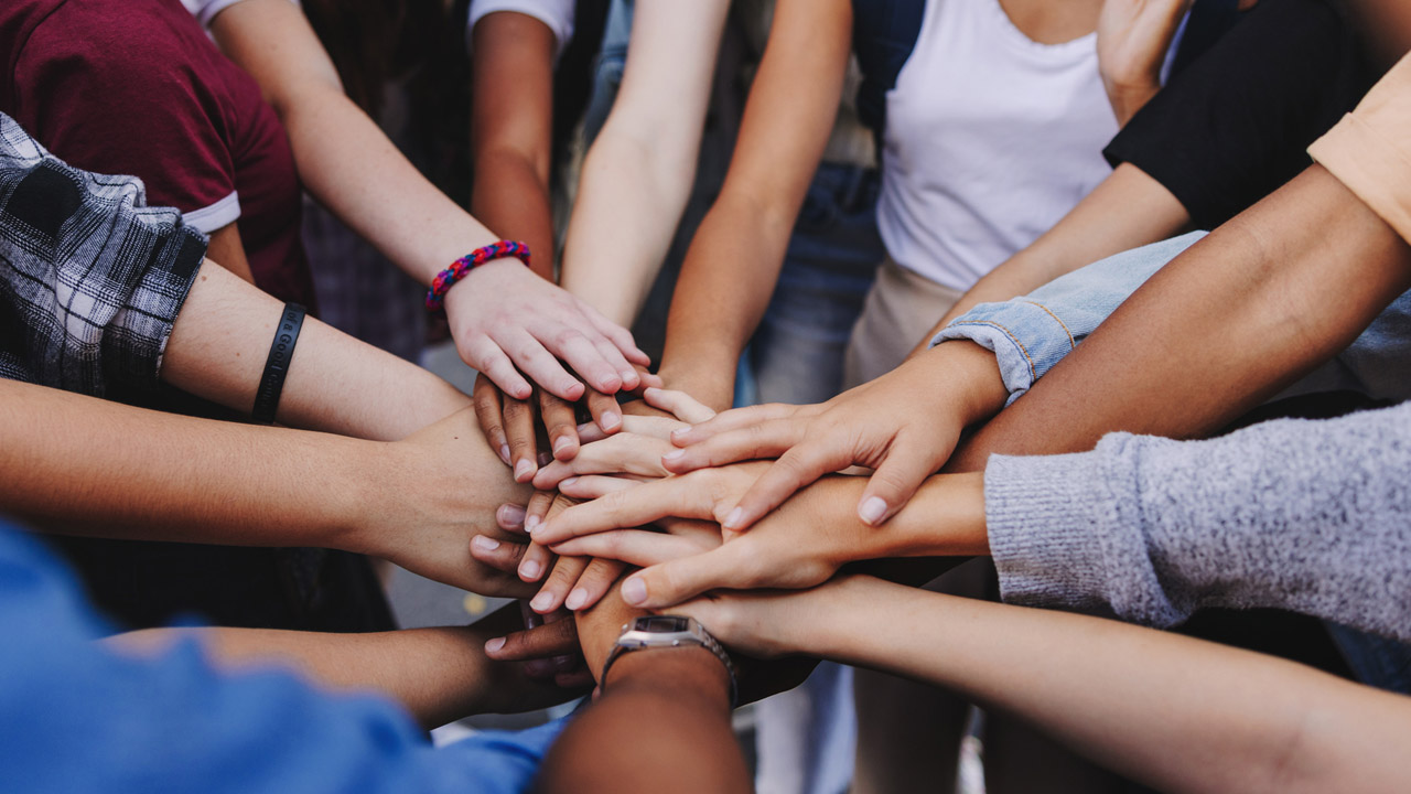 Info Evening - The University of Auckland