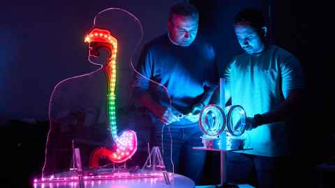 Auckland Bioengineering Institute - The University of Auckland
