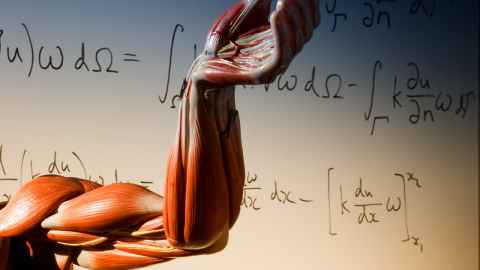 Bioengineering - The University of Auckland