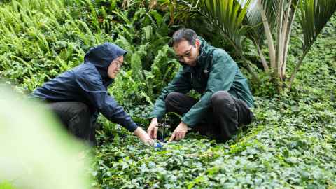 Doctoral study - The University of Auckland
