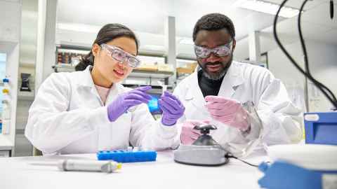 The Liggins Institute - The University of Auckland