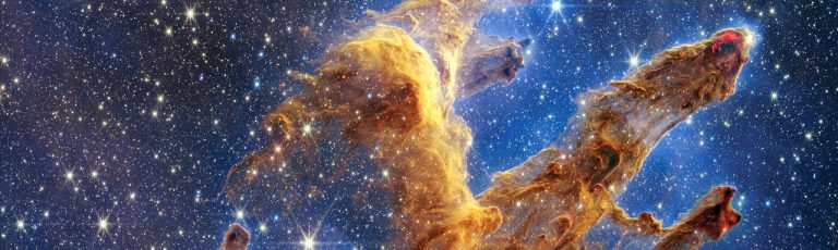 Science - The University of Auckland