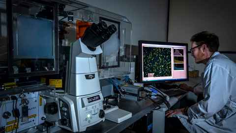 Imaging Centre - The University of Auckland